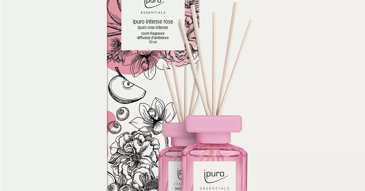 ESSENTIALS intense rose